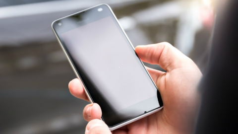 La FFB sort son application mobile - Nouveautés sites/applis